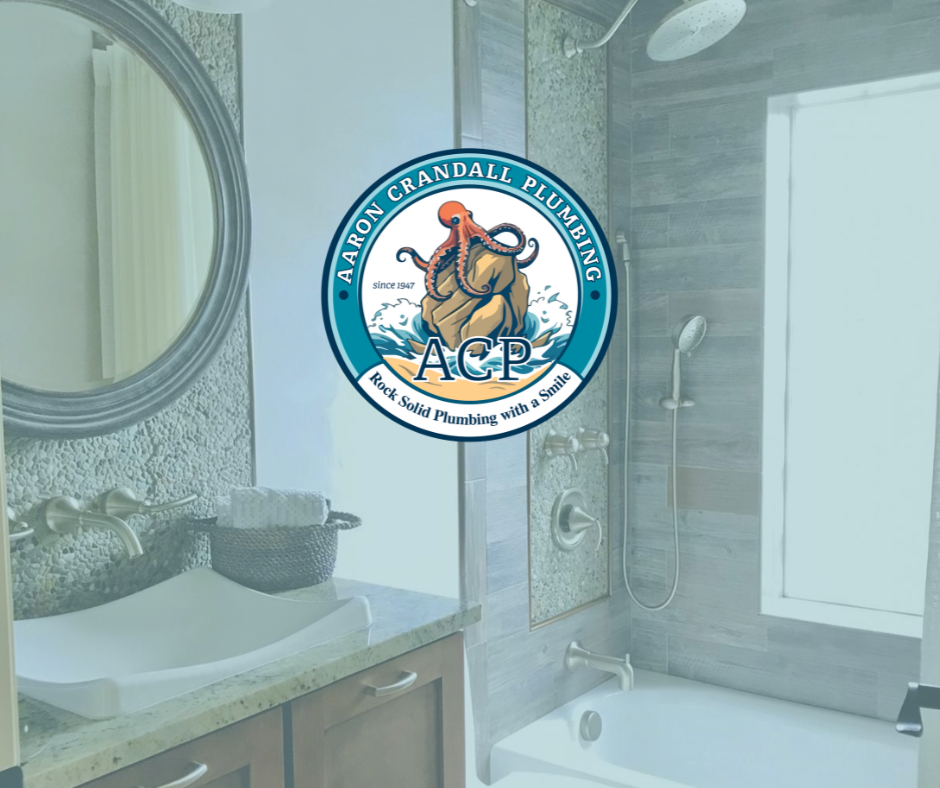 Plumbers In Palm Coast Fl